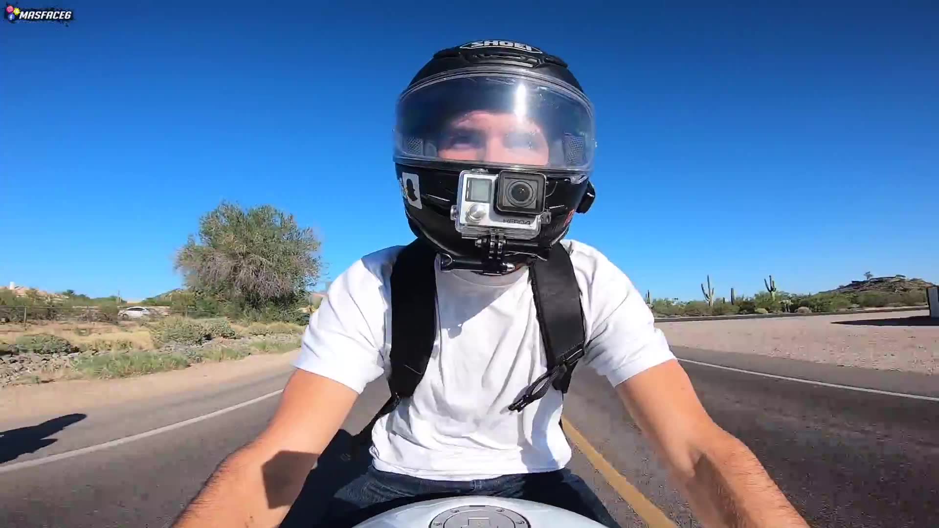 We came across a massive spider crossing the desert route and could not ...